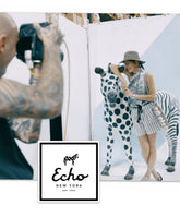 Our Story – Echo