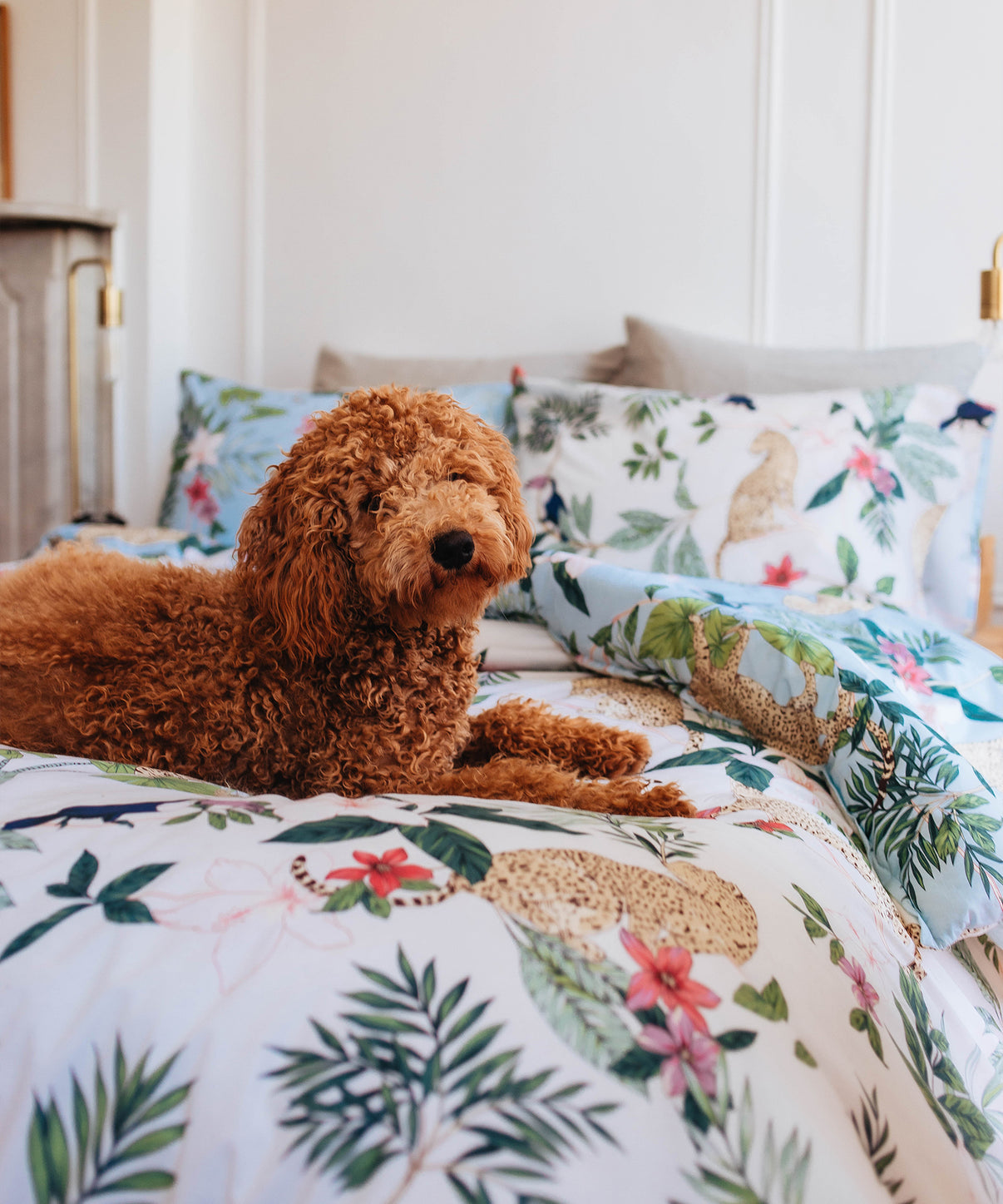 Comforter Set | King Queen Bedding Set | Echo